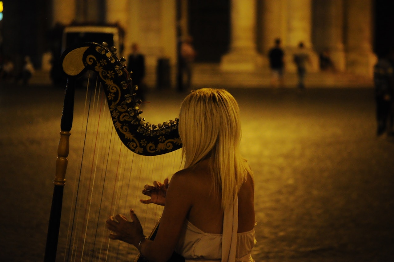 Orchestra String Instruments Are The Most Beautiful