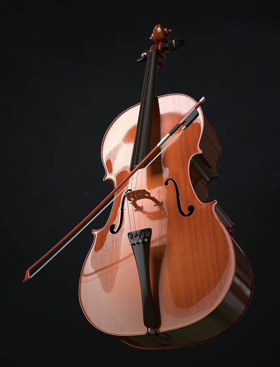 Orchestra String Instruments Are The Most Beautiful